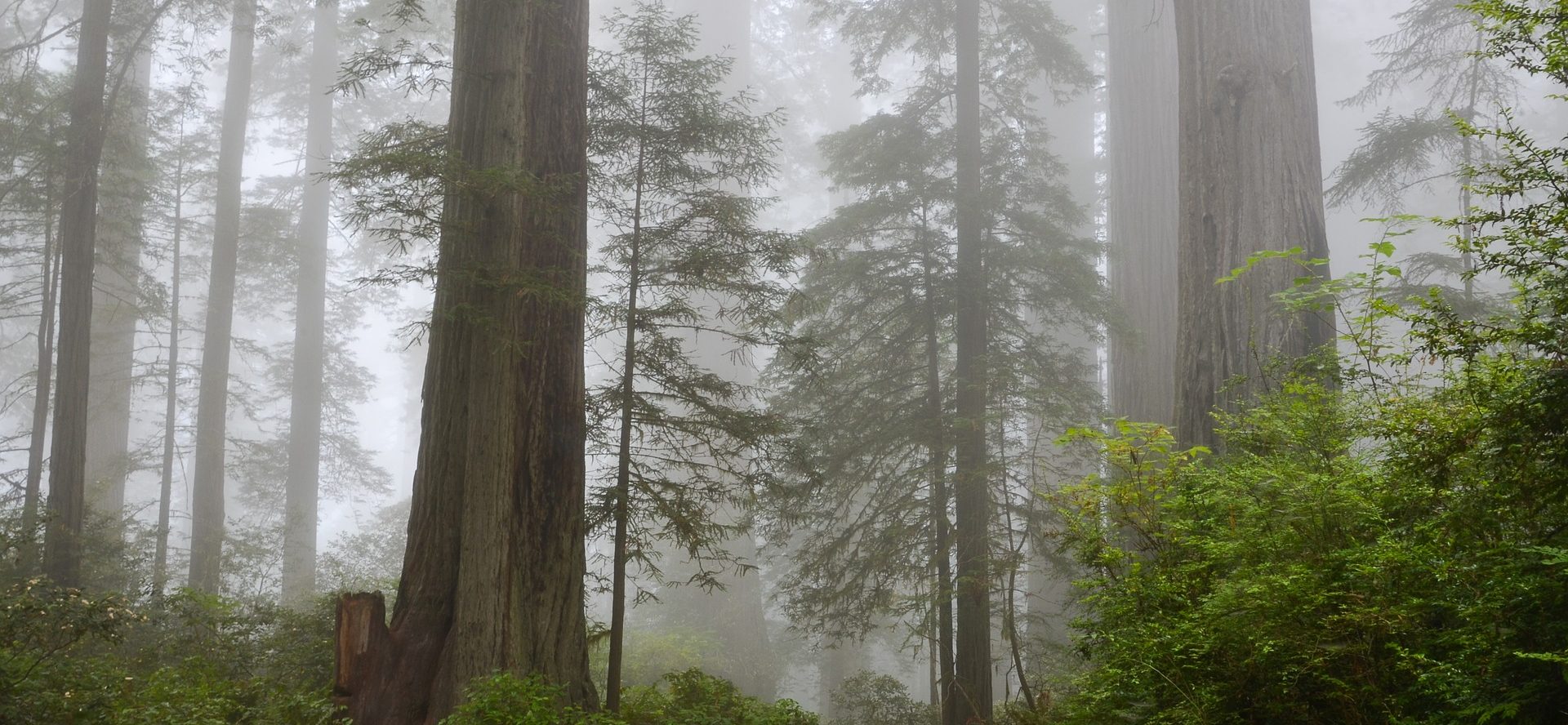 Wakerly Family Foundation – a private charitable foundation